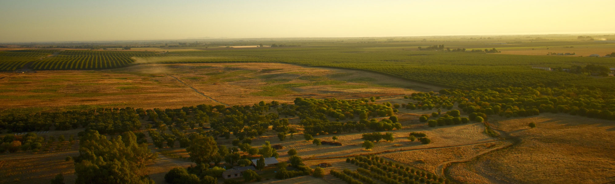 About JMP | John Mann Packaging