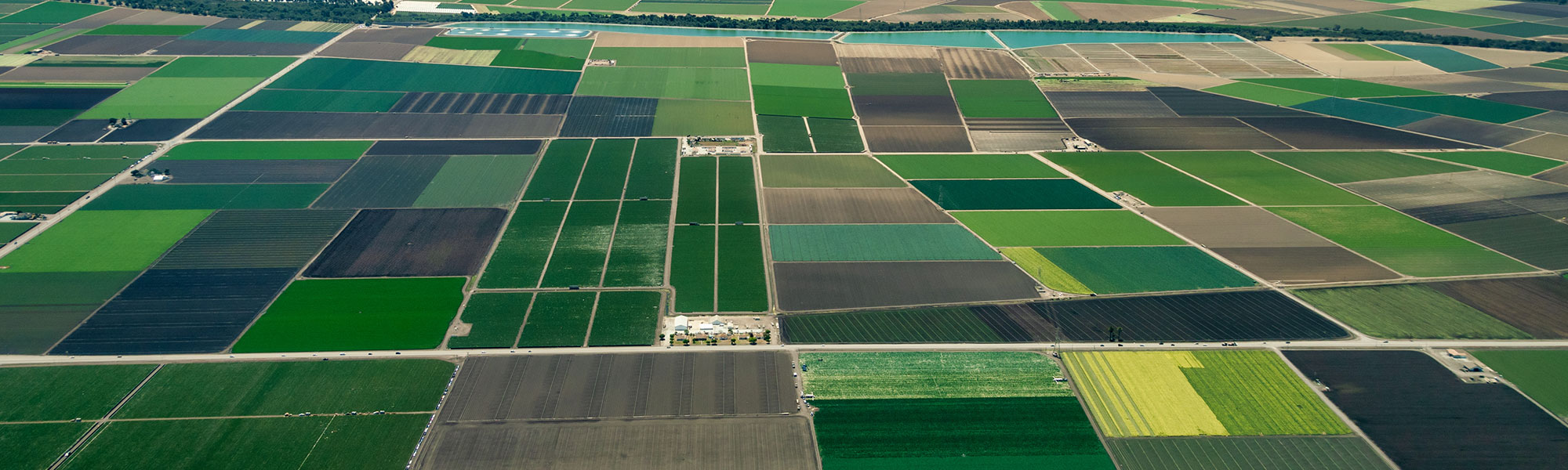 About JMP | John Mann Packaging